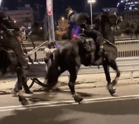 Anti-Netanyahu Protester Beaten by Mounted Police Officer: 'He Used ...