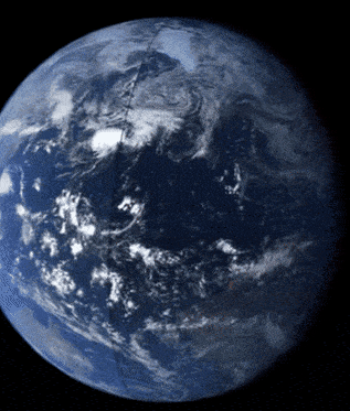 "ברבי" קיבל שמונה מועמדויות לאוסקר. הנשים שעשו אותו זכו להתעלמות - קולנוע