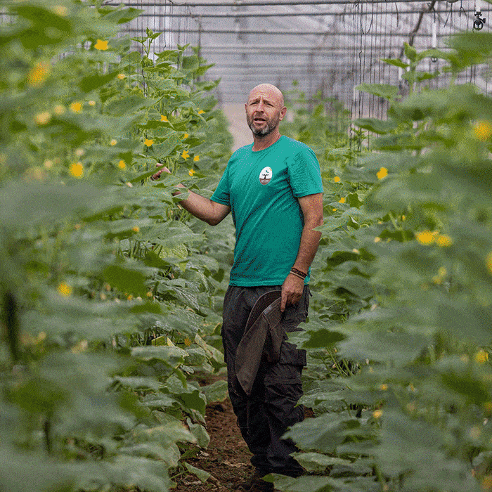The Farm Helping Israeli Veterans Deal With War Trauma – by Connecting ...